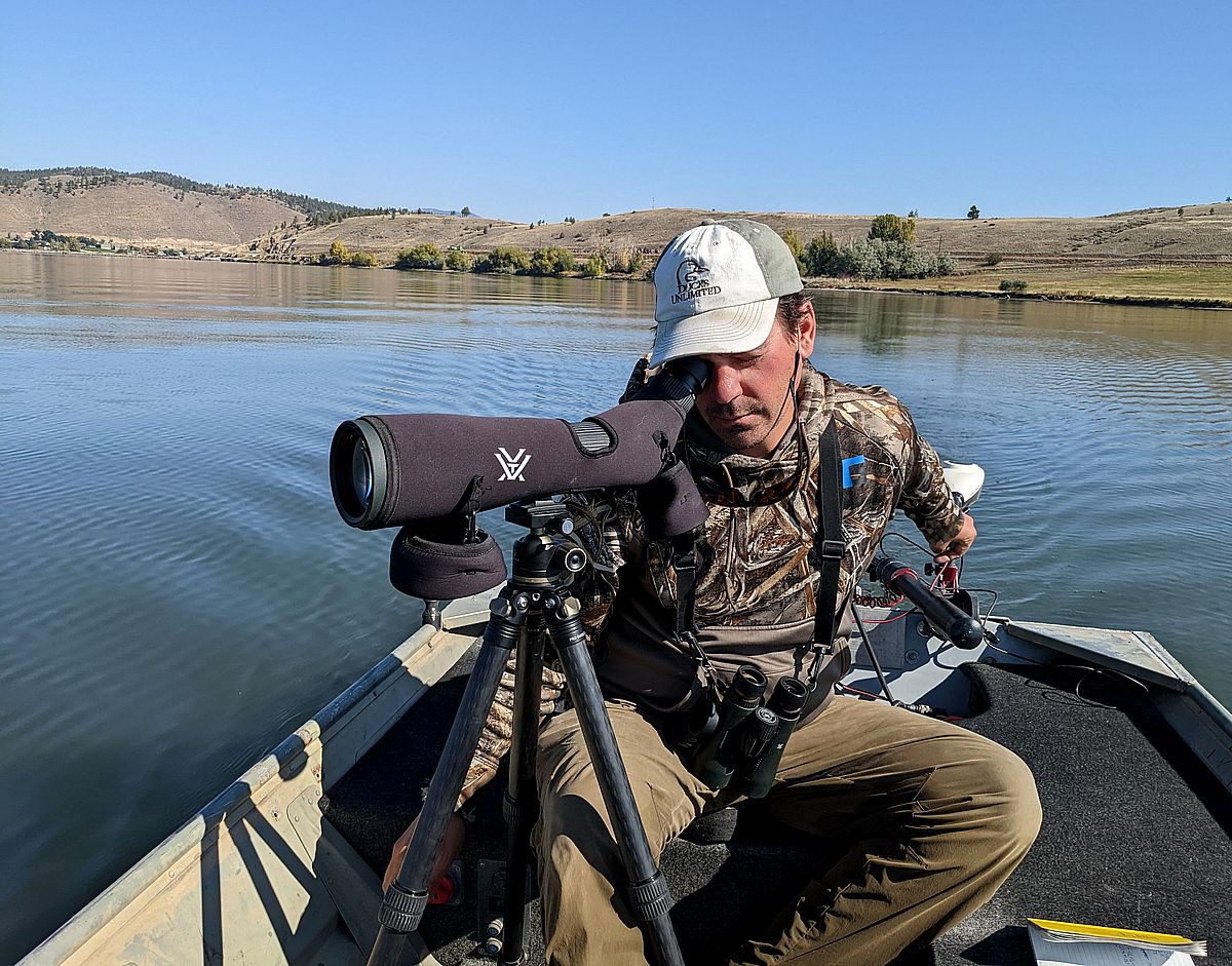 Lake Helena and its amazing ducks