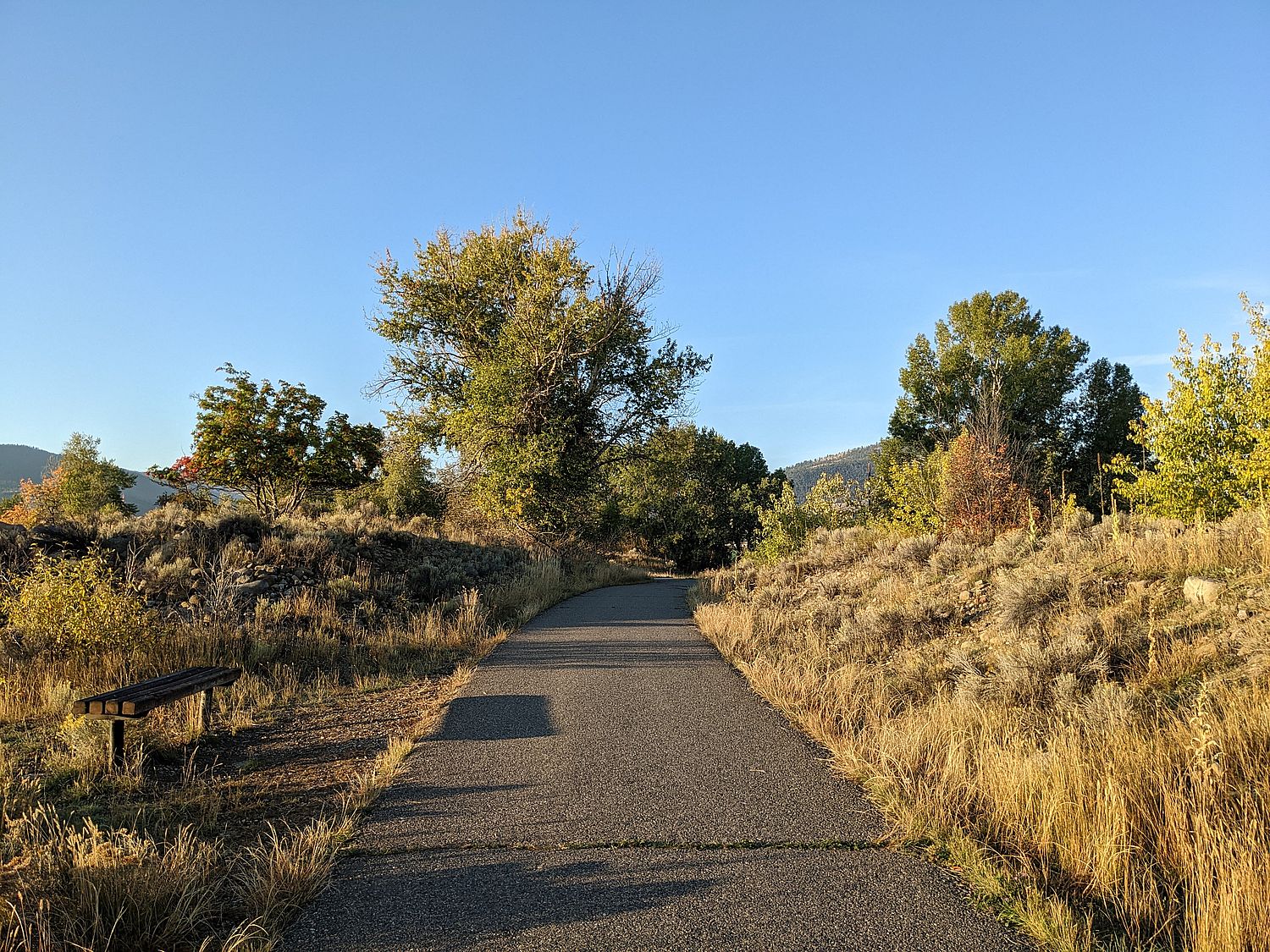 Nature Park: a special place for birds - Wild With Nature