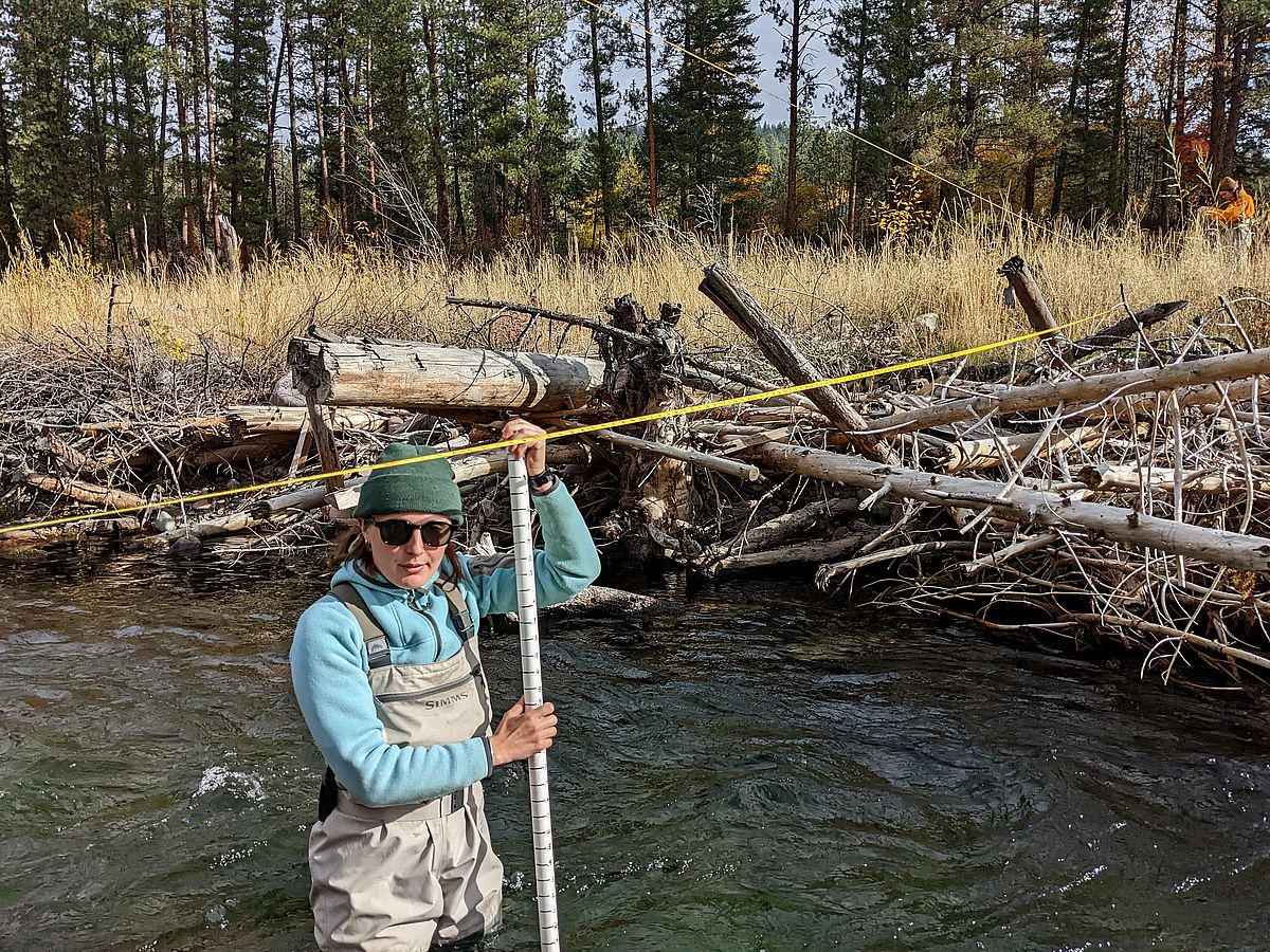 Hope for a dammed stream: watching Rattlesnake Creek change