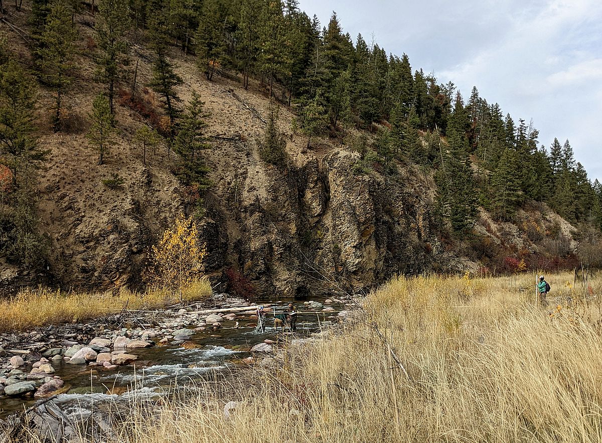 Hope for a dammed stream: watching Rattlesnake Creek change