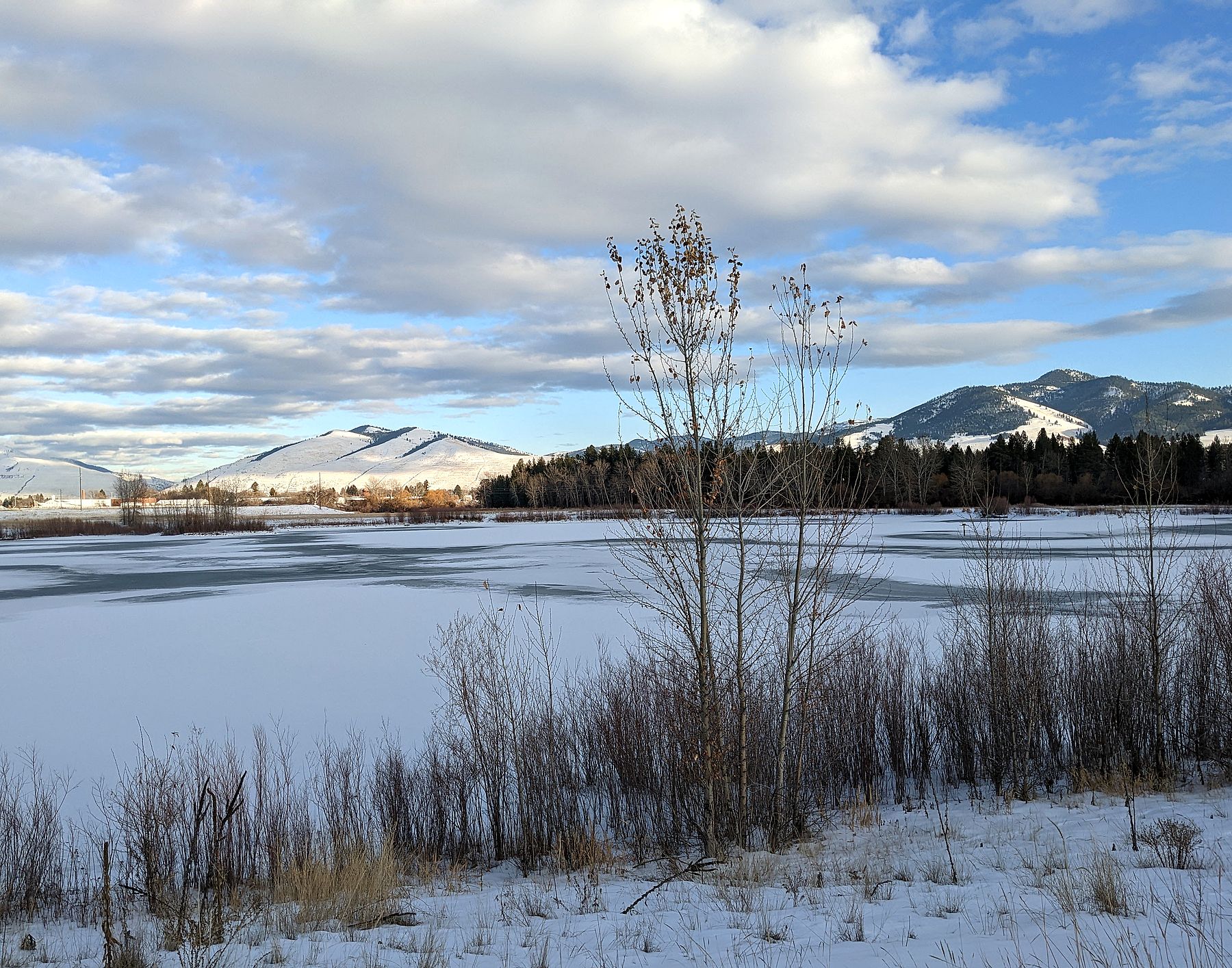 The Fort Missoula Ponds: a hotspot for biodiversity