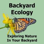 The best nature podcasts - Wild With Nature